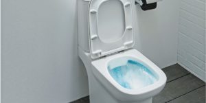 Les Meilleurs Wc Sans Bride. Comparatif & Guide D’achat En Févr. 2026